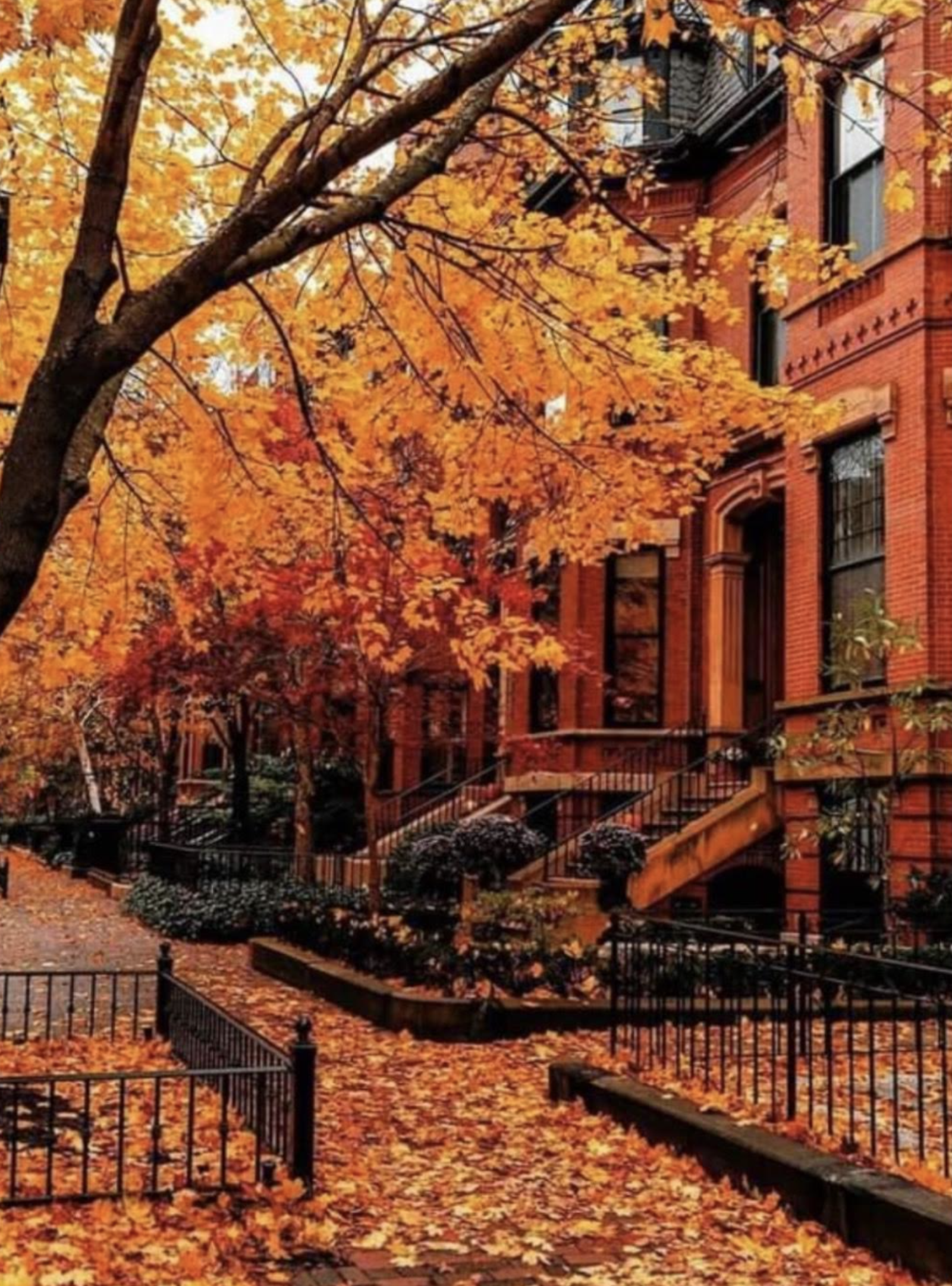 7 Ways to Bring Balance to Your Life in the Fall Season | Michelle Cromer